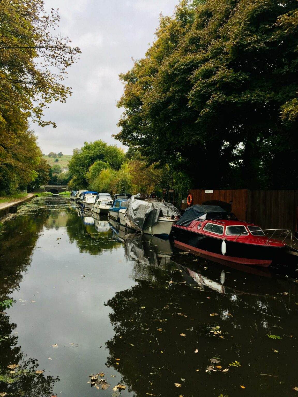 Canal fishing - our guide to getting started - Fisheries.co.uk