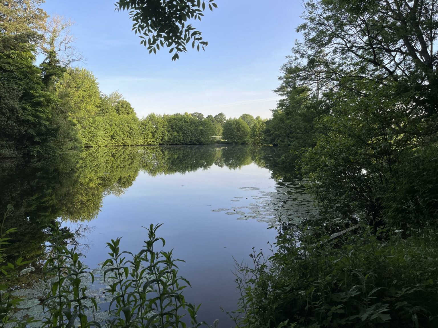 A guide to Lake Fishing - Fisheries.co.uk