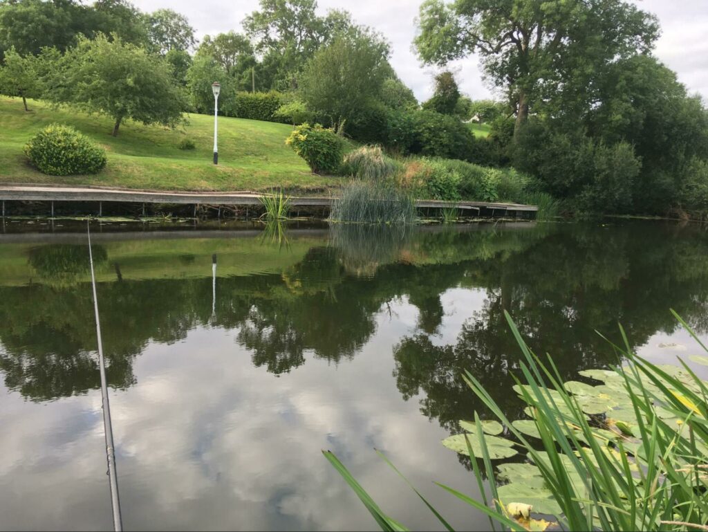 Fishing for Chub - Fisheries.co.uk
