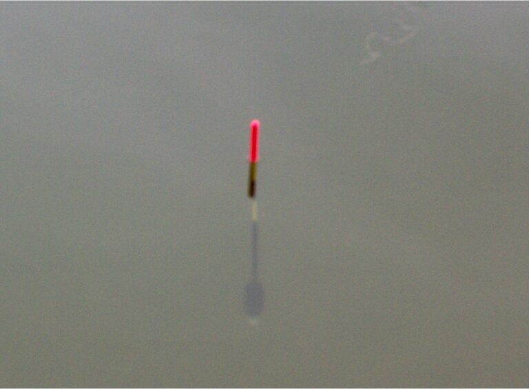 Fishing using a sliding float - Fisheries.co.uk