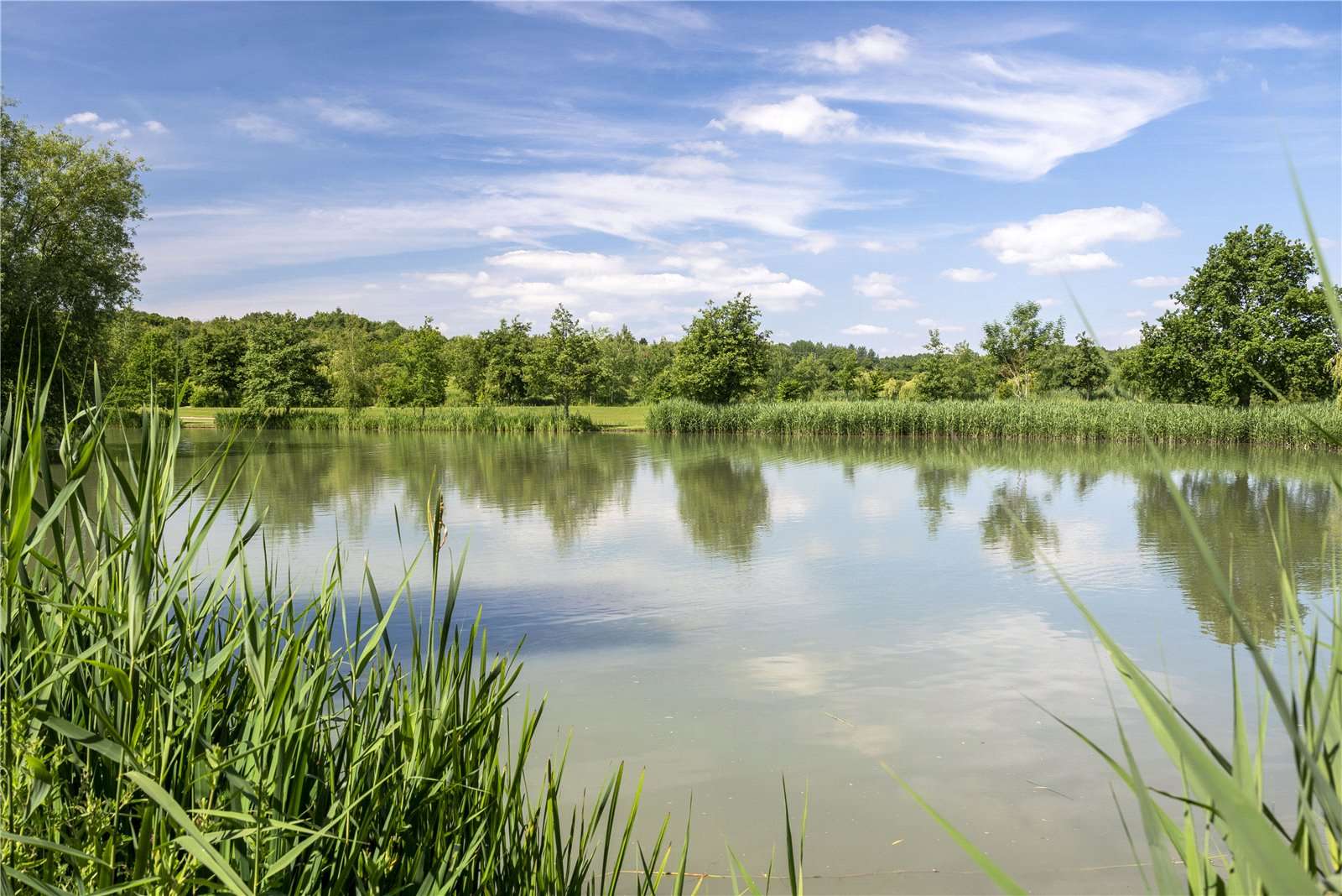 Lemington Lakes - Fisheries.co.uk