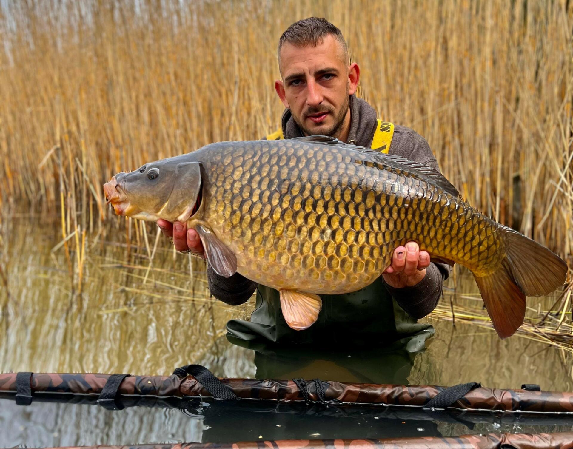 Hawton Waters - Fisheries.co.uk