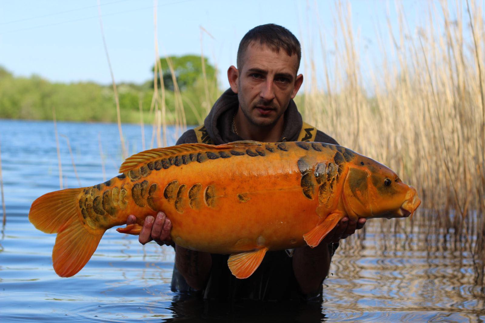 Hawton Waters - Fisheries.co.uk