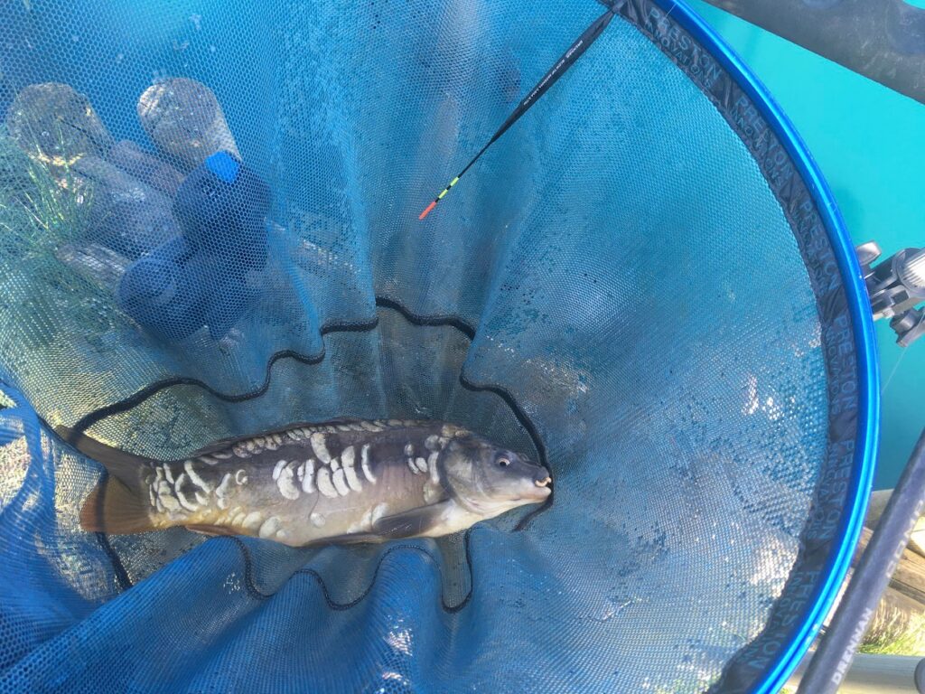 A Beginner’s Guide to fishing the Waggler - Fisheries.co.uk