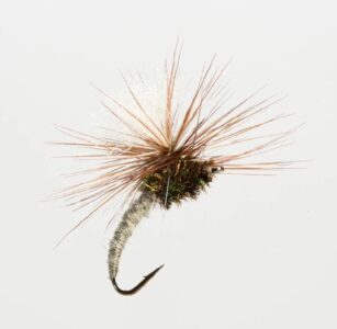 Fishing for Grayling: The anglers guide - Fisheries.co.uk